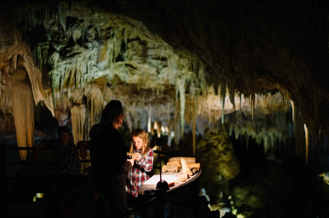 Ngilgi Cave - Margaret River Attractions : Margaret River Attractions