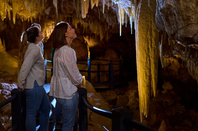 Ngilgi Cave Ancient Lands Experience - Margaret River Attractions ...